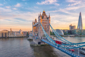 Contact Us – Techsofya