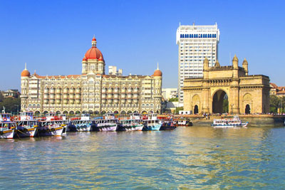 Contact Us – Techsofya